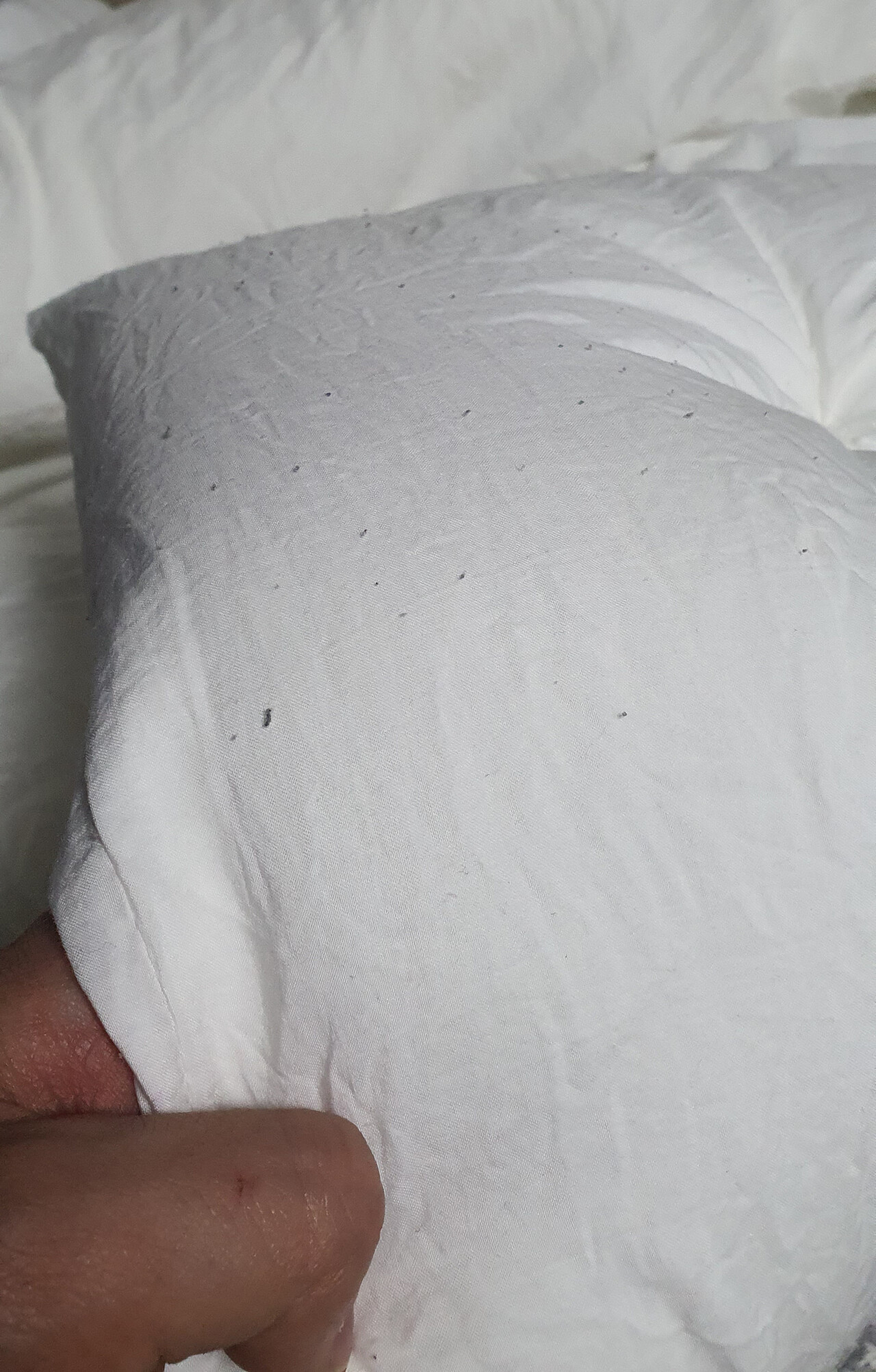 모달이라더니 레이온? 가짜 모달 이불 주의보 "렌징 인증 여부 꼼꼼히 따져야"