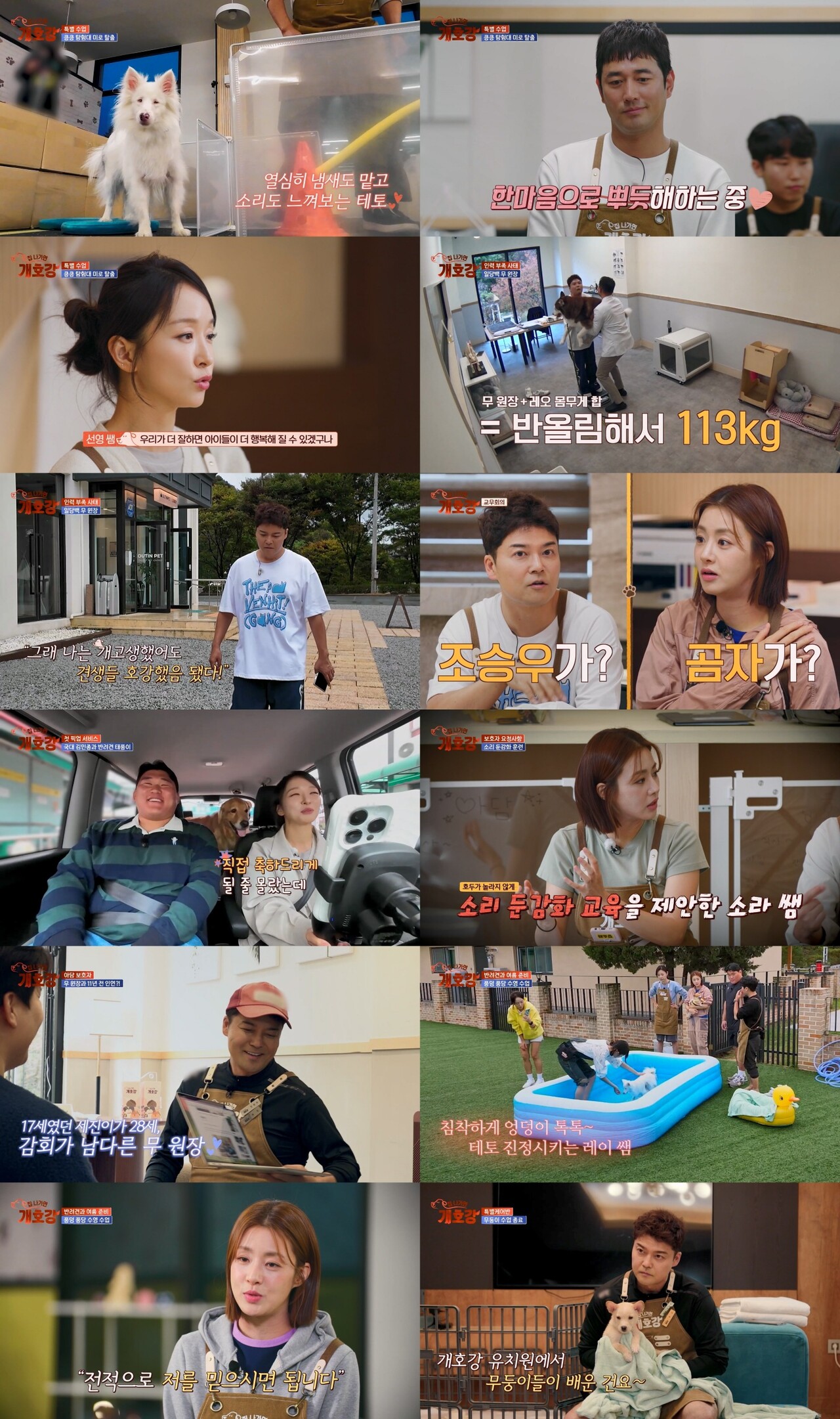 JTBC ‘집 나가면 개호강’, 김민종·김세진 깜짝 방문…반려견과 특별한 하루